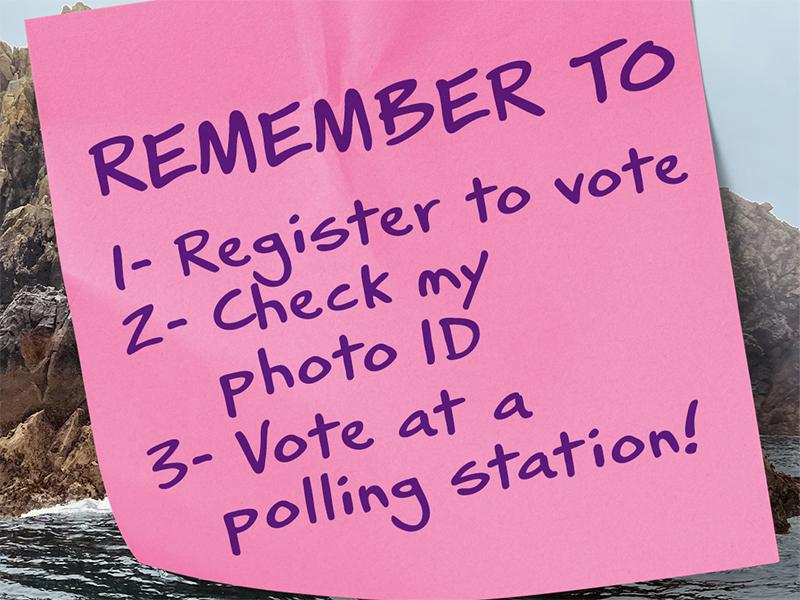 Remember your photo ID to vote | Elife