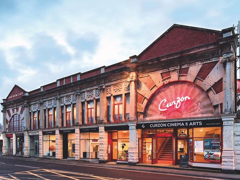 Help shape Curzon’s future | Elife